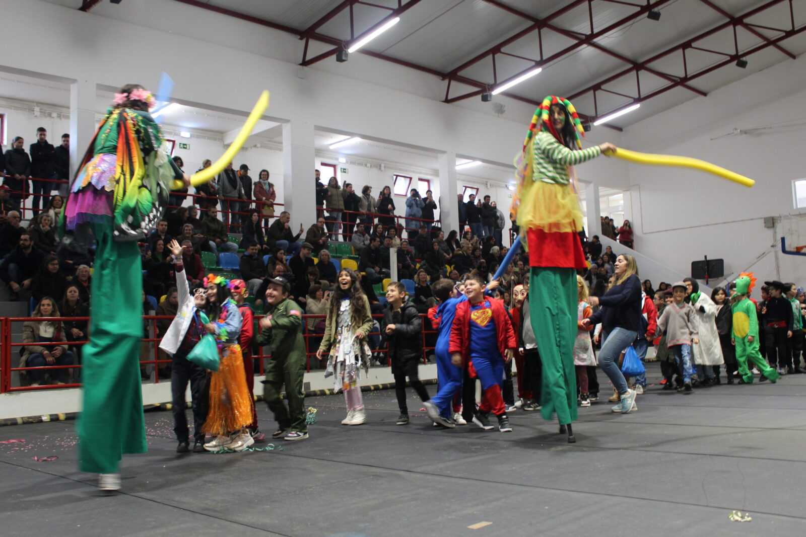 Proença-a-Nova: Mau tempo cancelou desfile de carnaval mas não a folia ...