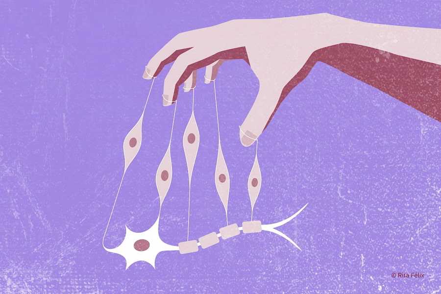 Células com potencial para o tratamento da doença de Machado-Joseph ...